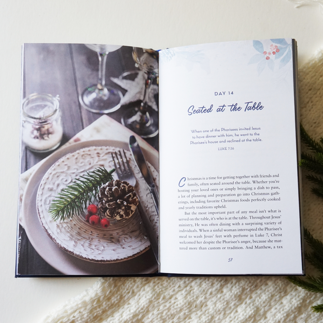 The Case for Christmas Bible Study Guide + Book + Journal + Bible Prem ...