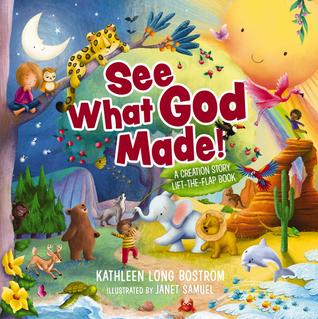 See What God Made!: A Creation Story Lift-the-Flap Book – FaithGateway