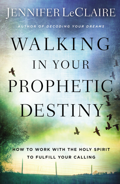 Walking in Your Prophetic Destiny: How to Work with The Holy Spirit to ...